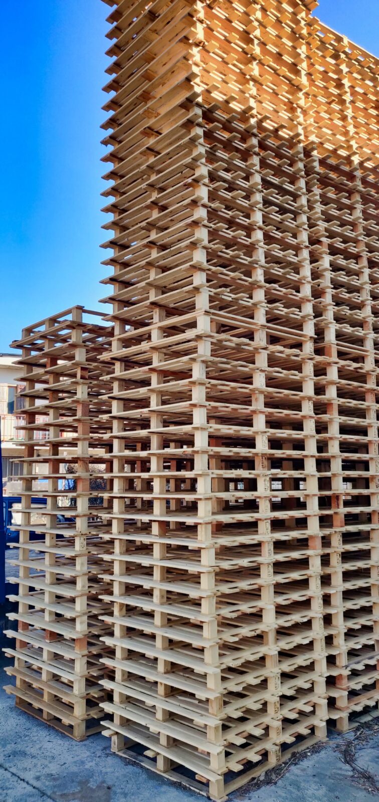 Produzione industriale pallets in legno - Imballaggi Fanelli Pietro Snc